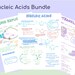 Nucleic Acids Study Notes/note Set Biology, Pre-med, Med School ...