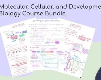 Nucleic Acids Study Notes/note Set — Biology, Pre-med, Med School ...