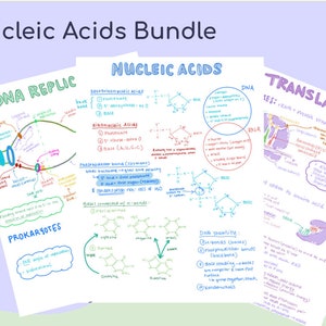 Nucleic Acids Study Notes/note Set — Biology, Pre-med, Med School ...