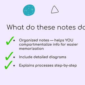 Organic Chemistry I Course Bundle Orgo/ochem I Notes/note Set ...