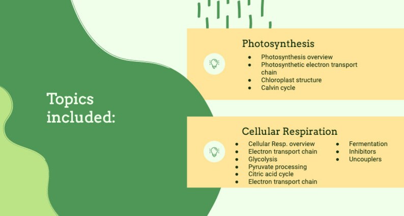 Photosynthesis and Cellular Respiration Study Notes/note Set — Biology ...