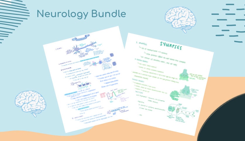 Neurology Study Notes/note Set — Biology, Pre-med, Med School, Nursing ...