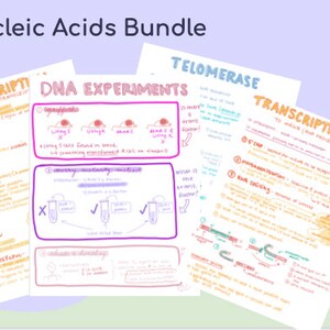Nucleic Acids Study Notes/note Set — Biology, Pre-med, Med School ...