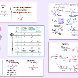 Organic Chemistry II (2) Course Bundle Orgo/ochem II Notes/note Set ...