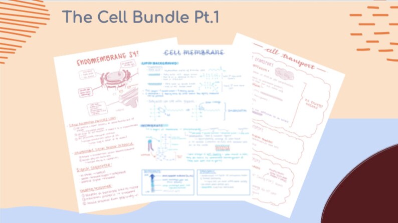 The Cell Pt.1 Study Notes/note Set — Biology, Pre-med, Med School ...
