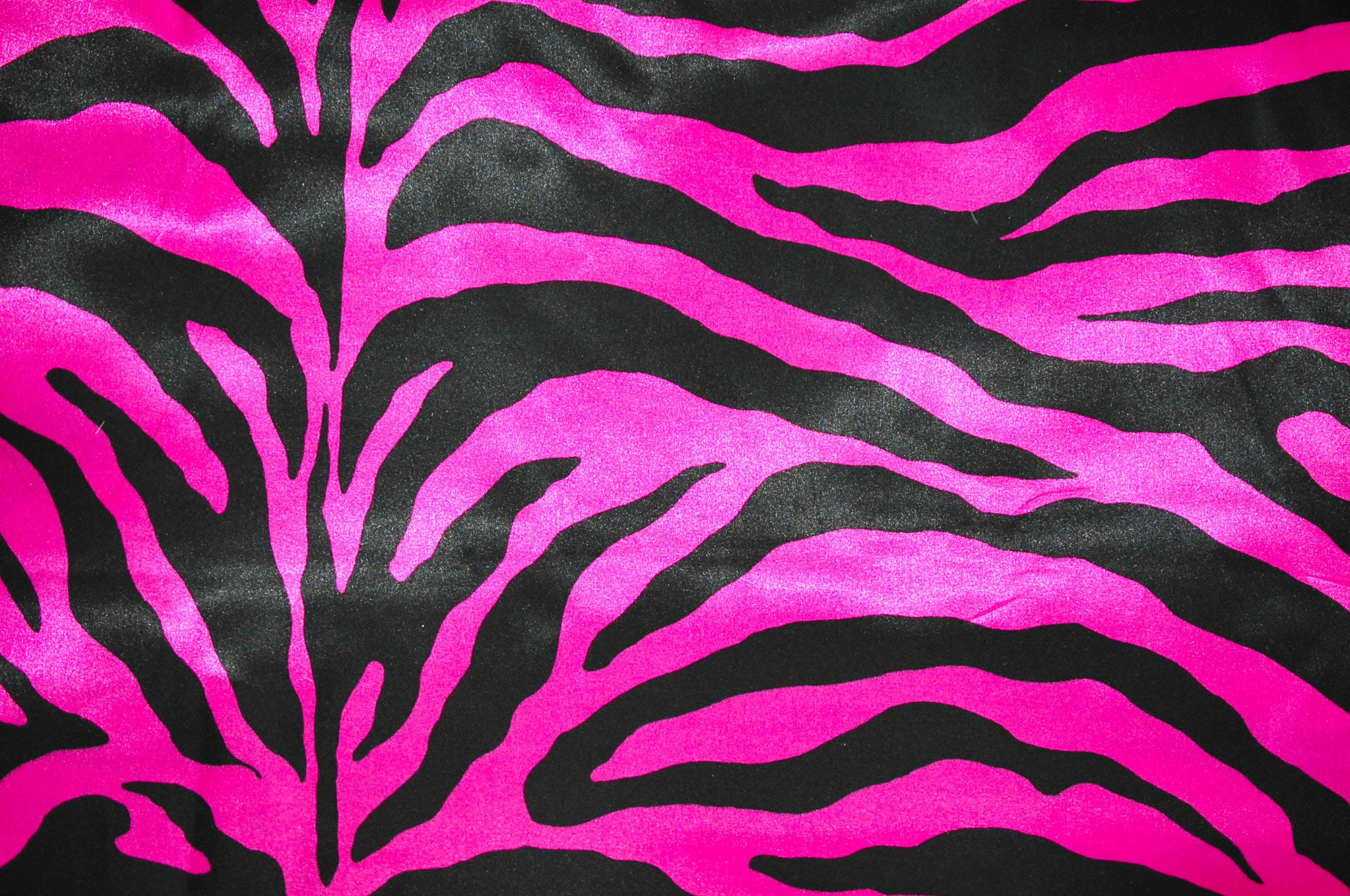 Zebra Satin Print Fabric Charmeuse Satin Zebra by the Yard - Etsy