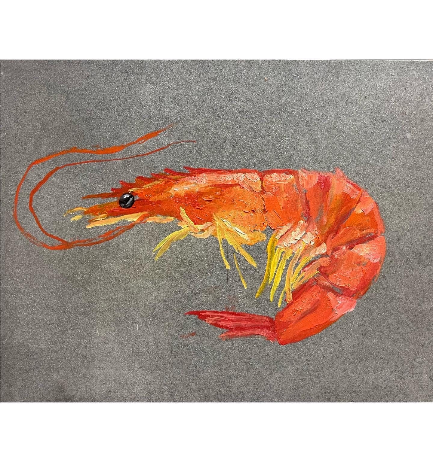 Shrimp (prawn) Oil Painting 8x6 - Etsy