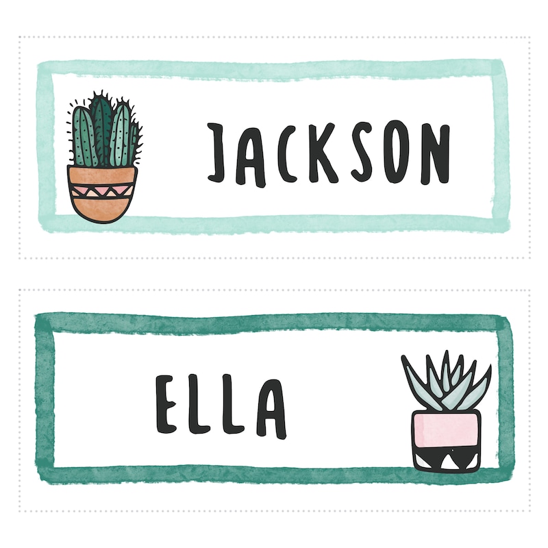 Classroom Cactus - Etsy