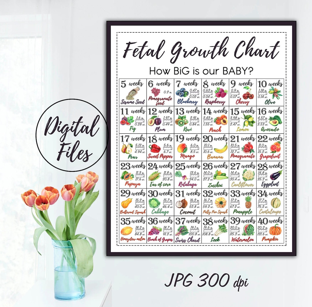 Baby Fetal Growth Chart Prenatal Development Chart 26x20 | Prenatal