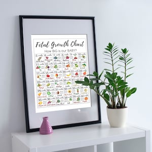 Printable Fetal Growth Chart With Watercolor Illustrations,weekly ...