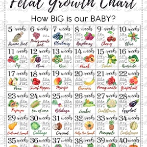 Printable Fetal Growth Chart With Watercolor Illustrations,weekly ...