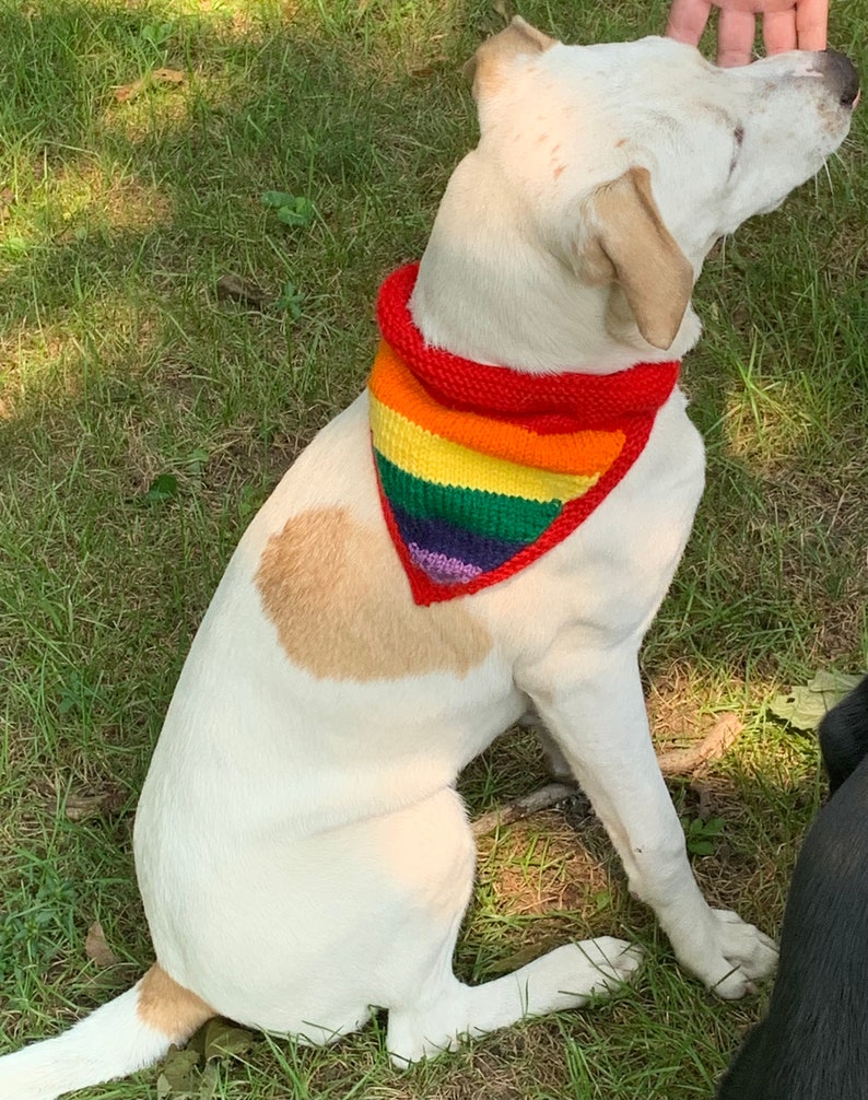 Knit Rainbow Dog Neckerchief LGBT Stripes Large - Etsy
