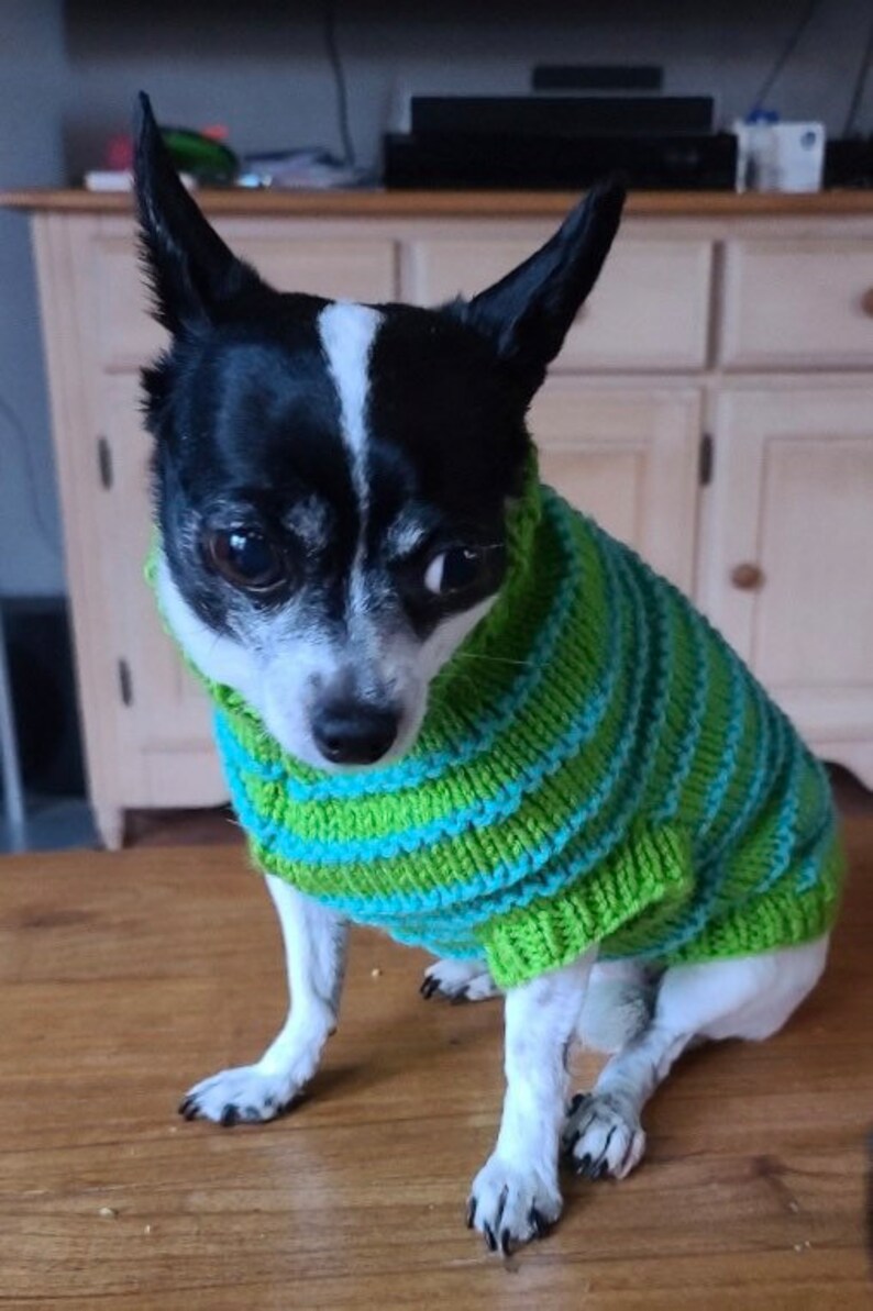 Striped Dog Sweater Extra Small Candy Corn Colors Orange Yellow White ...