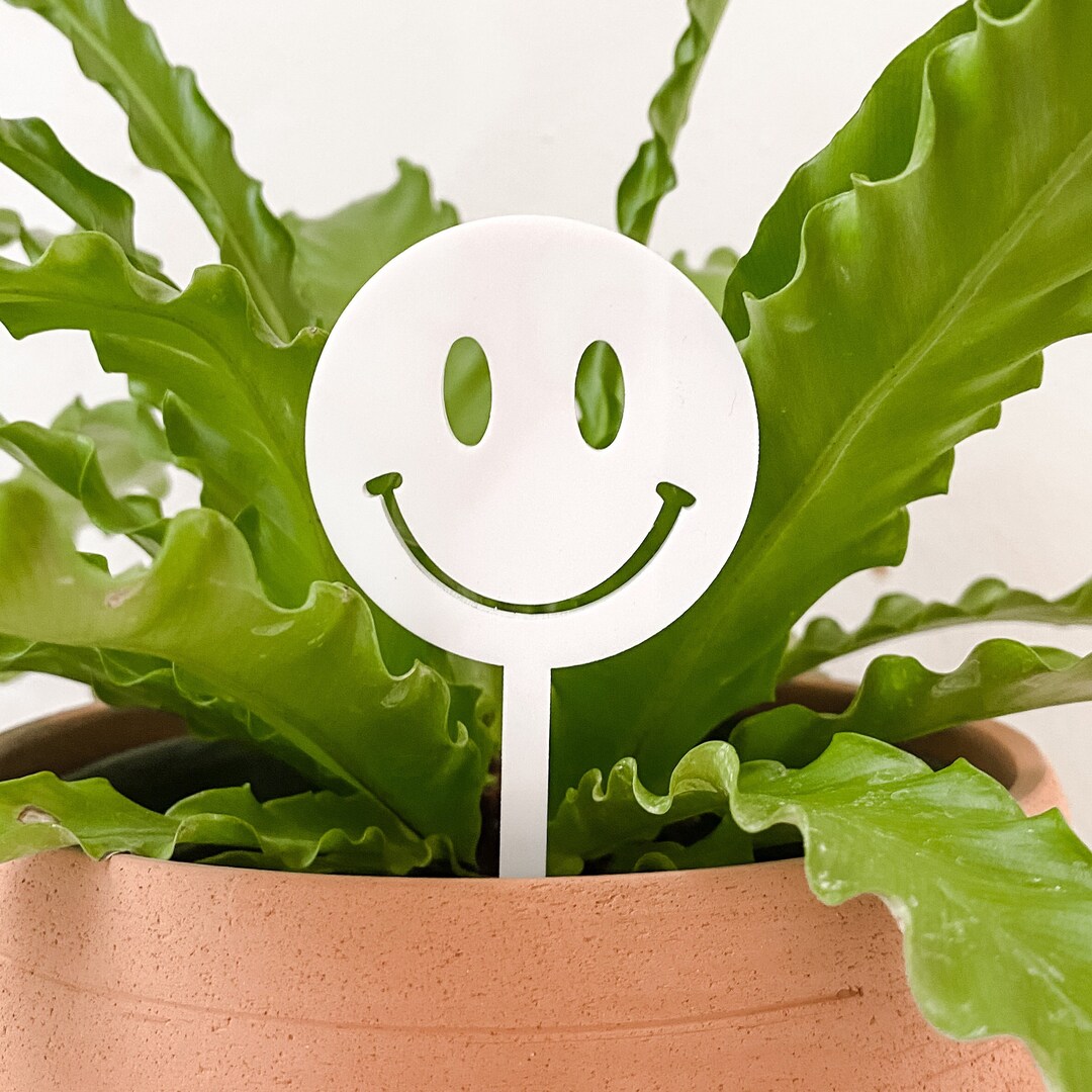 Smiley Face Plant Stake, Acrylic Plant Decor, Gift for Her, Garden ...