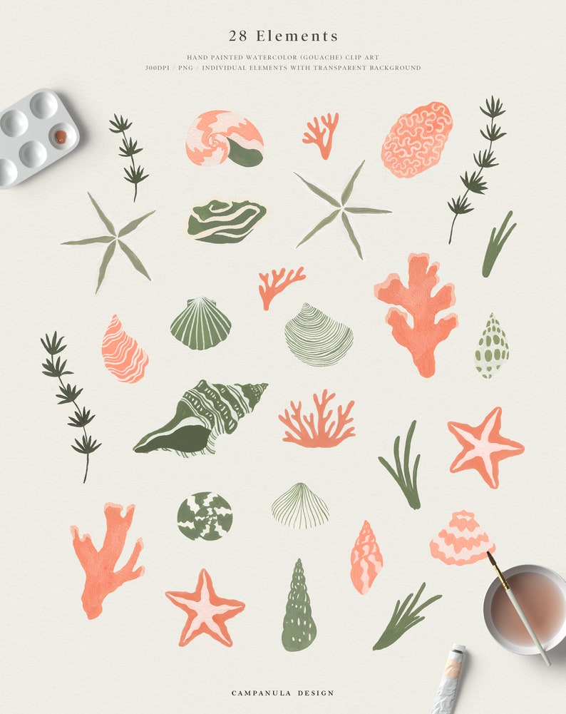 Watercolor Underwater Clipart, Coral Seashell Clipart, Seaweed Clipart ...