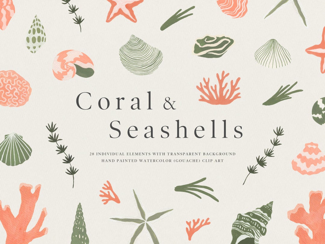 Watercolor Underwater Clipart, Coral Seashell Clipart, Seaweed Clipart ...