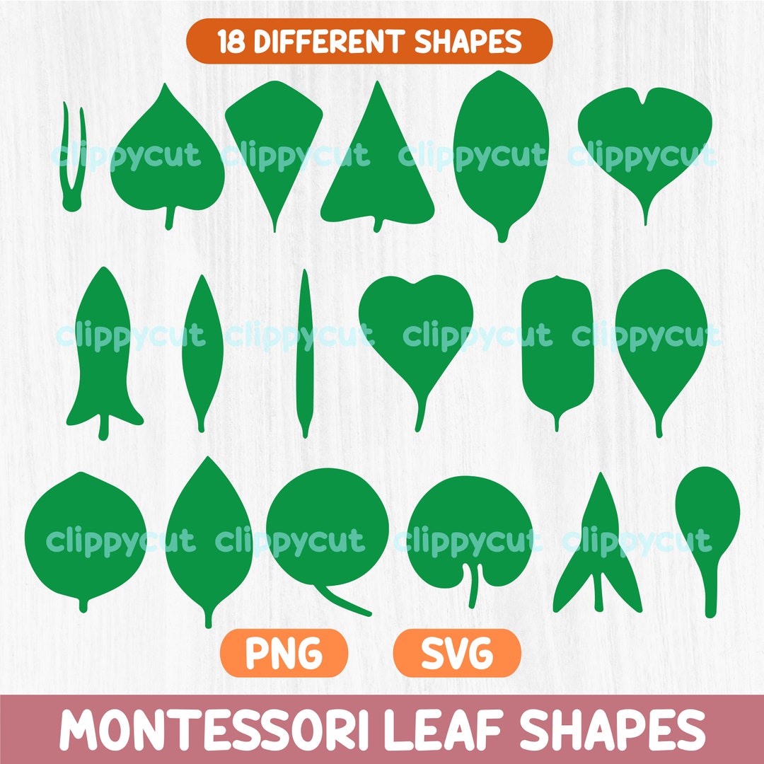 Montessori Leaf Shapes SVG & Clipart, Vector, PNG Files, Botany Cabinet ...