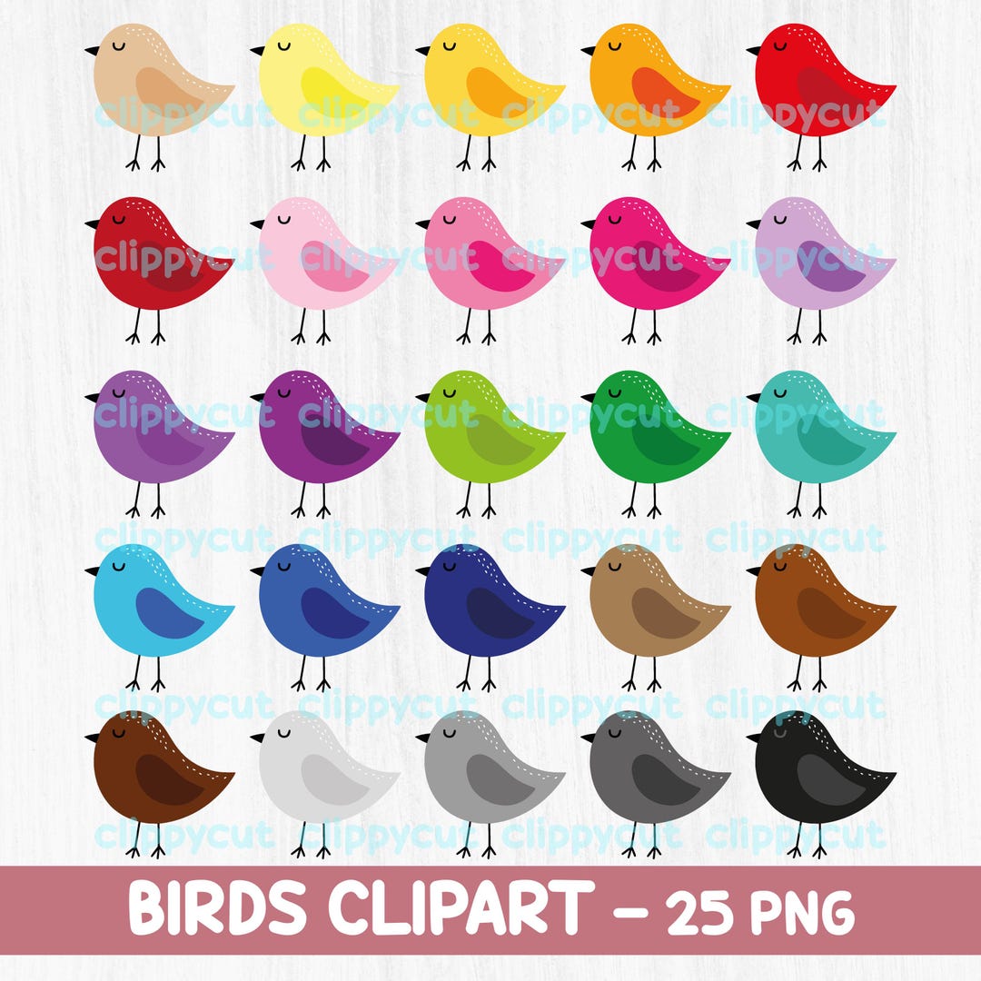 Bird Clipart Set, Birds Bundle, Digital Art Collection, Cute Birds ...