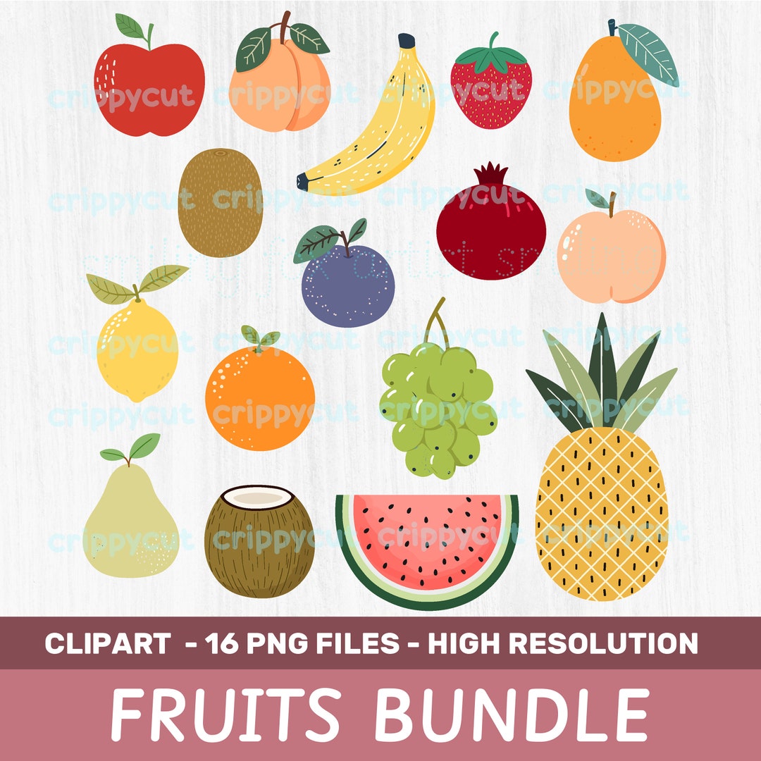 Fruits Clipart Bundle, 16 PNG Images, Graphics, Illustrations, Food ...