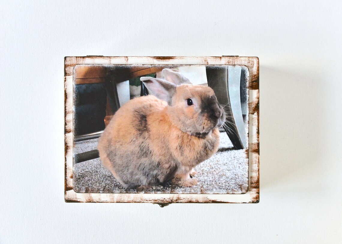 Personalized pet rabbit memorial wooden box with custom quote | Etsy