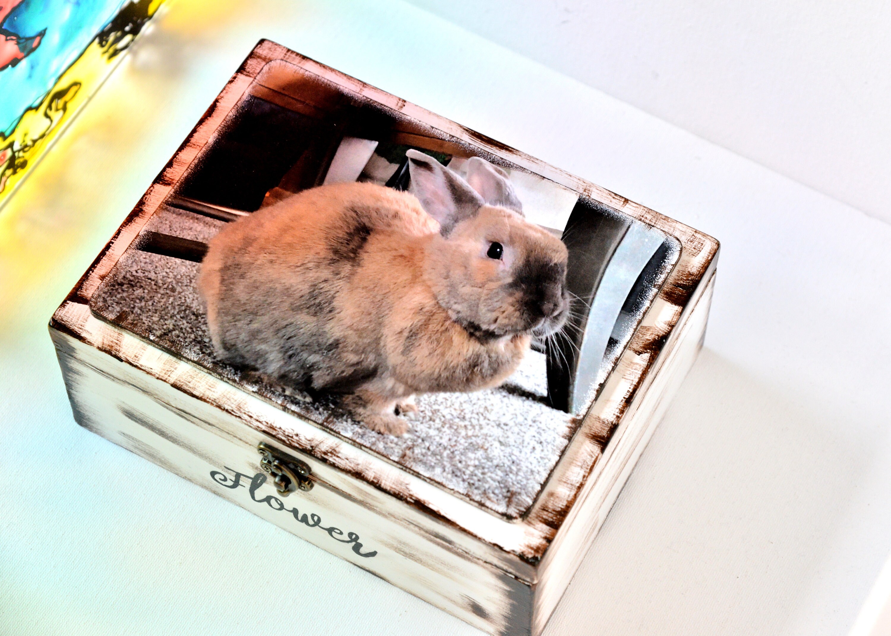 Personalized Pet Rabbit Memorial Wooden Box With Custom Quote ...