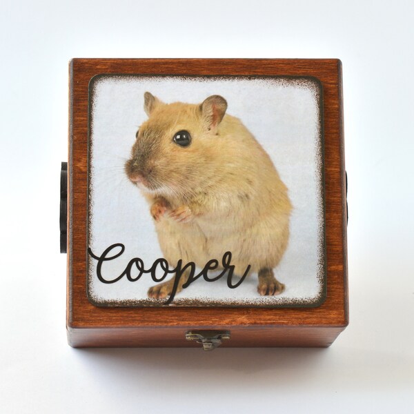 Hamster Casket - Etsy