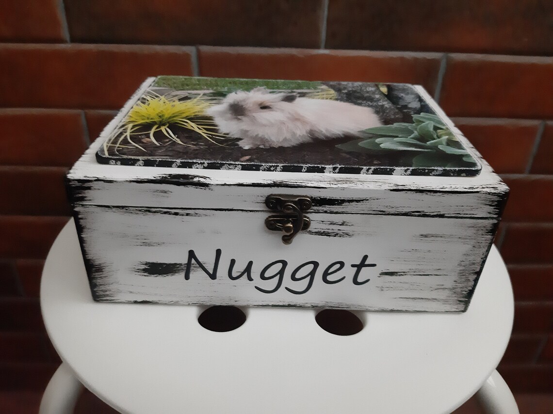 Personalized Wooden Pet Memorial Urn, Cremation Box for Pet, Rabbit ...