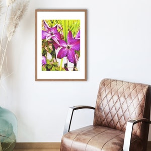 Botanical Wall Art, Floral Wall Art, Violet Stargazer Clematis Colored ...