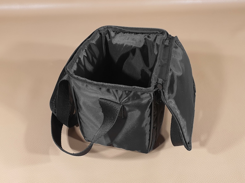 Custom Padded Bag for Positive Grid Spark MINI Practice Amp - Etsy