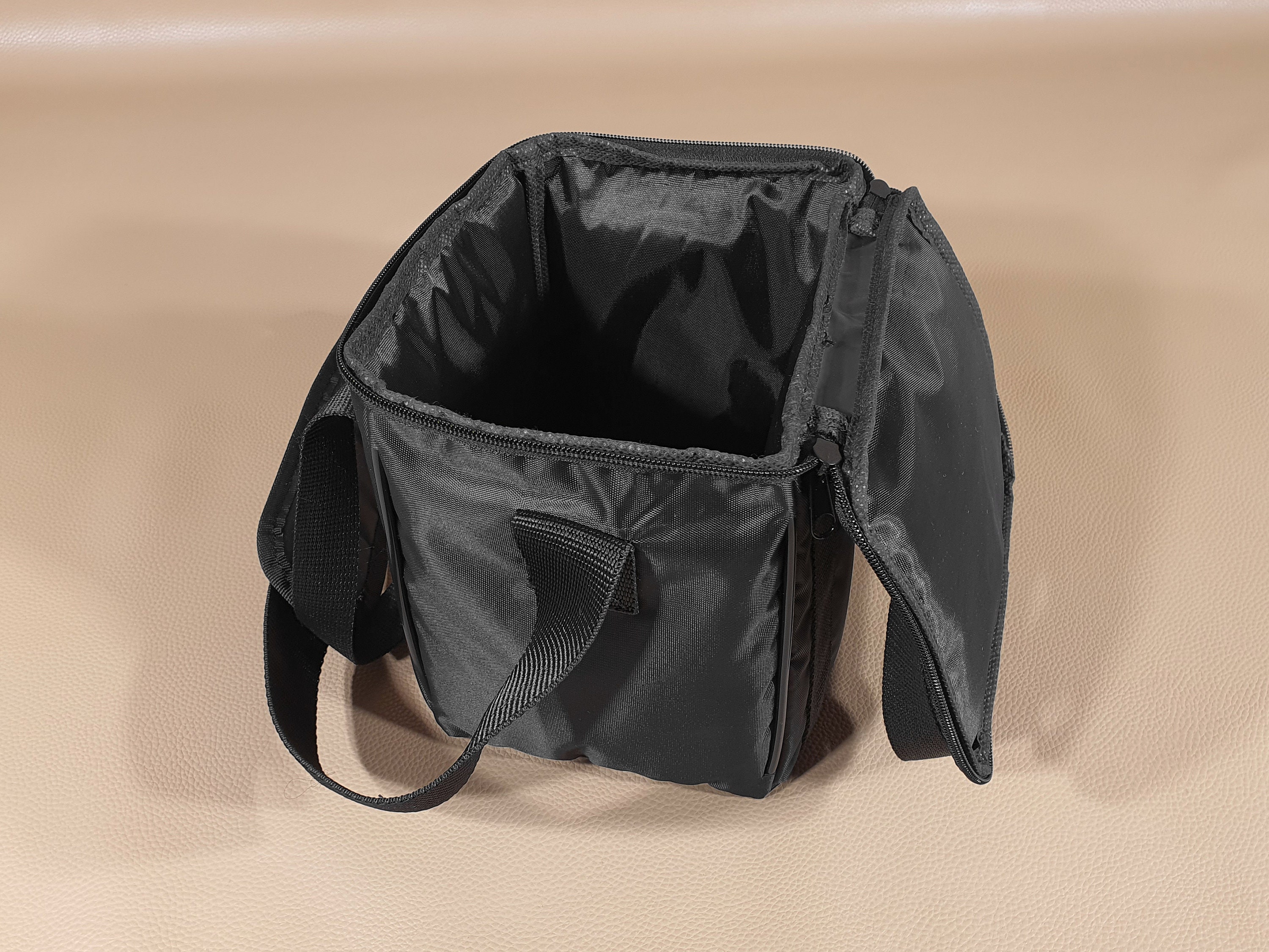 Custom Padded Bag for Positive Grid Spark MINI Practice Amp - Etsy