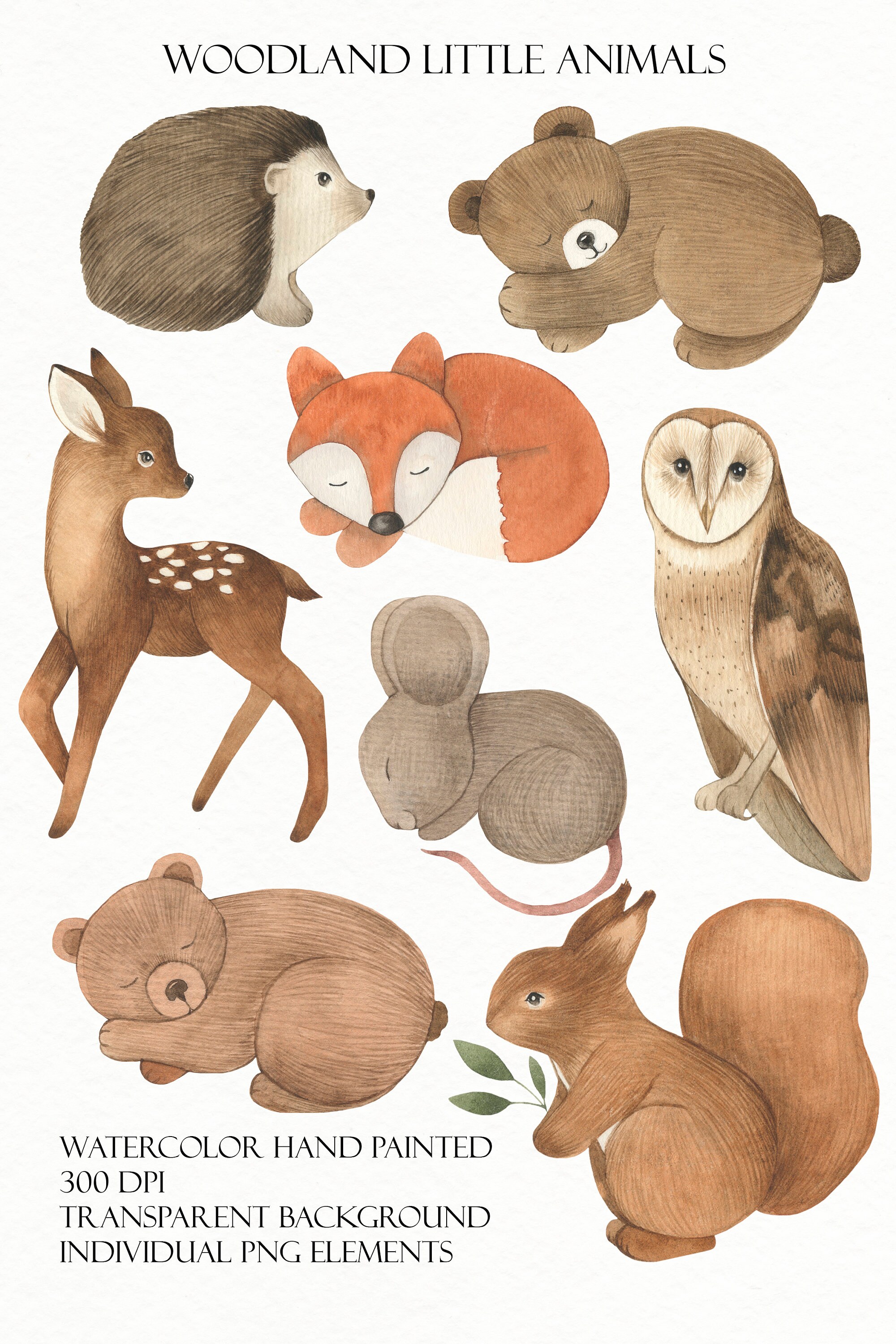 Watercolor Forest Animals Clipart Woodland Little Fox Deer | Etsy