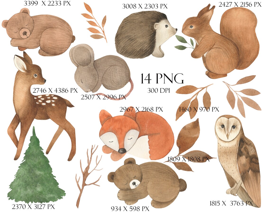 Watercolor Forest Animals Clipart Woodland Little Fox Deer | Etsy