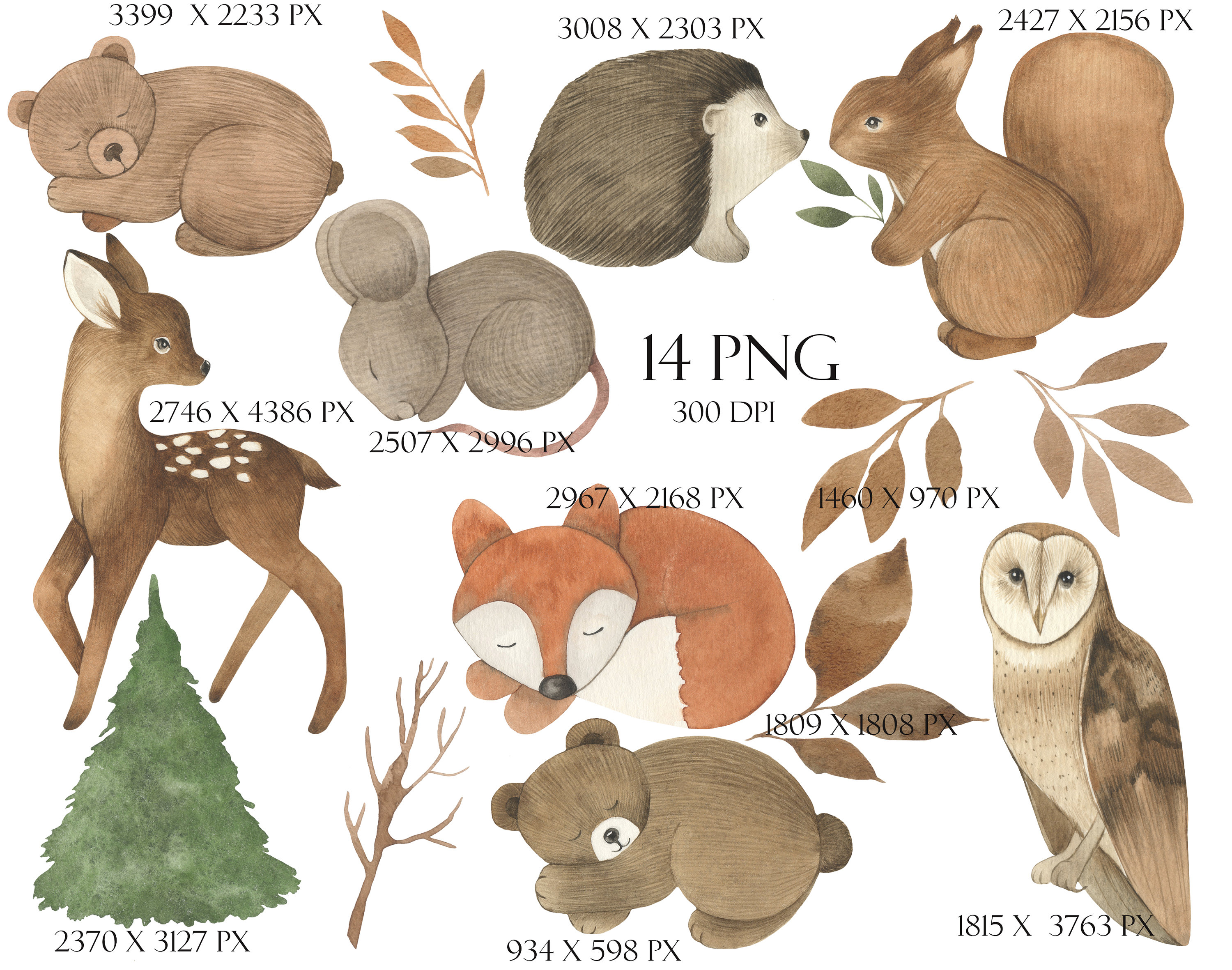 Watercolor Forest Animals Clipart Woodland Little Fox Deer | Etsy