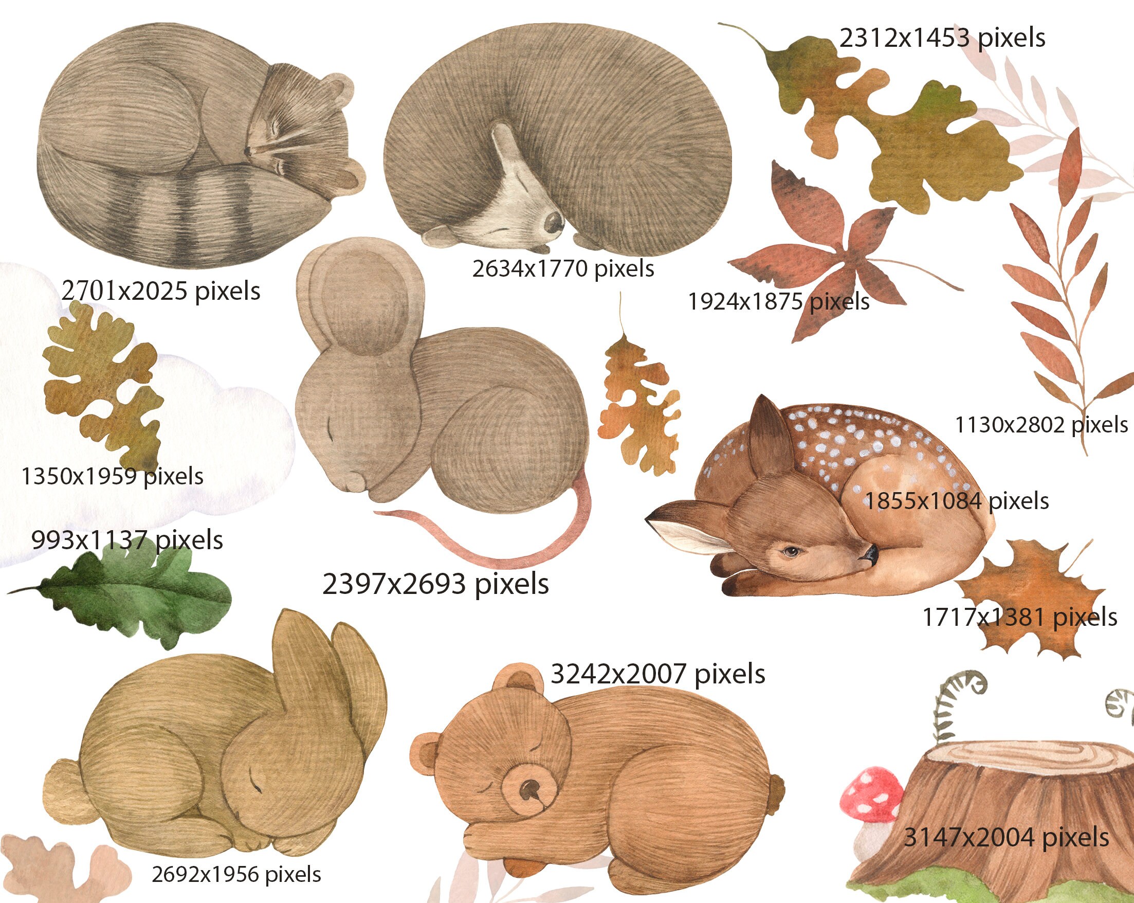 Watercolor sleeping animals Woodland baby Nursery Sleeping | Etsy