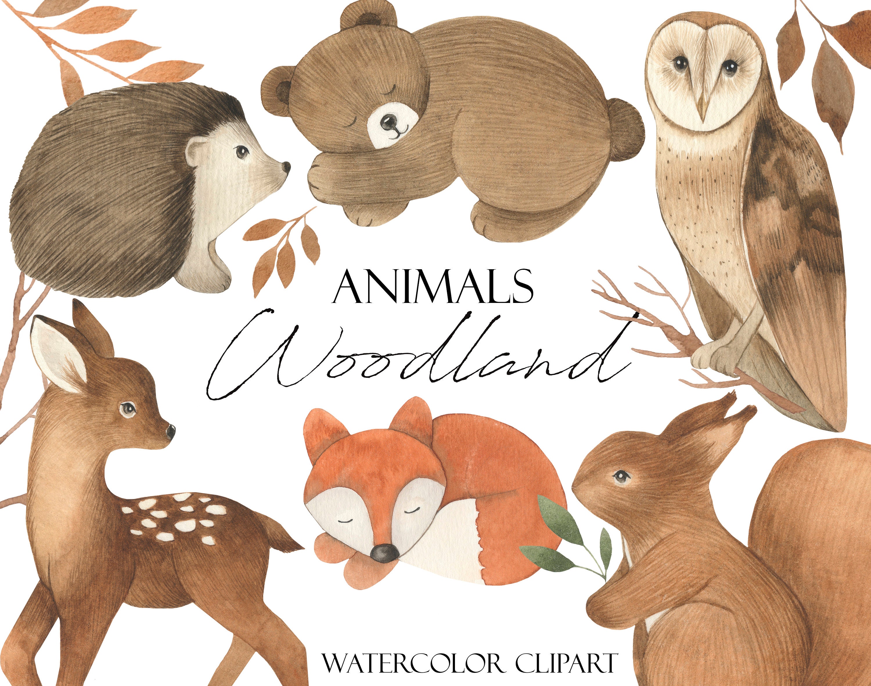 Watercolor Forest Animals Clipart Woodland Little Fox Deer | Etsy