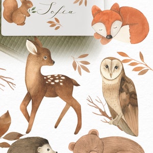 Watercolor Forest Animals Clipart Woodland Little Fox Deer | Etsy