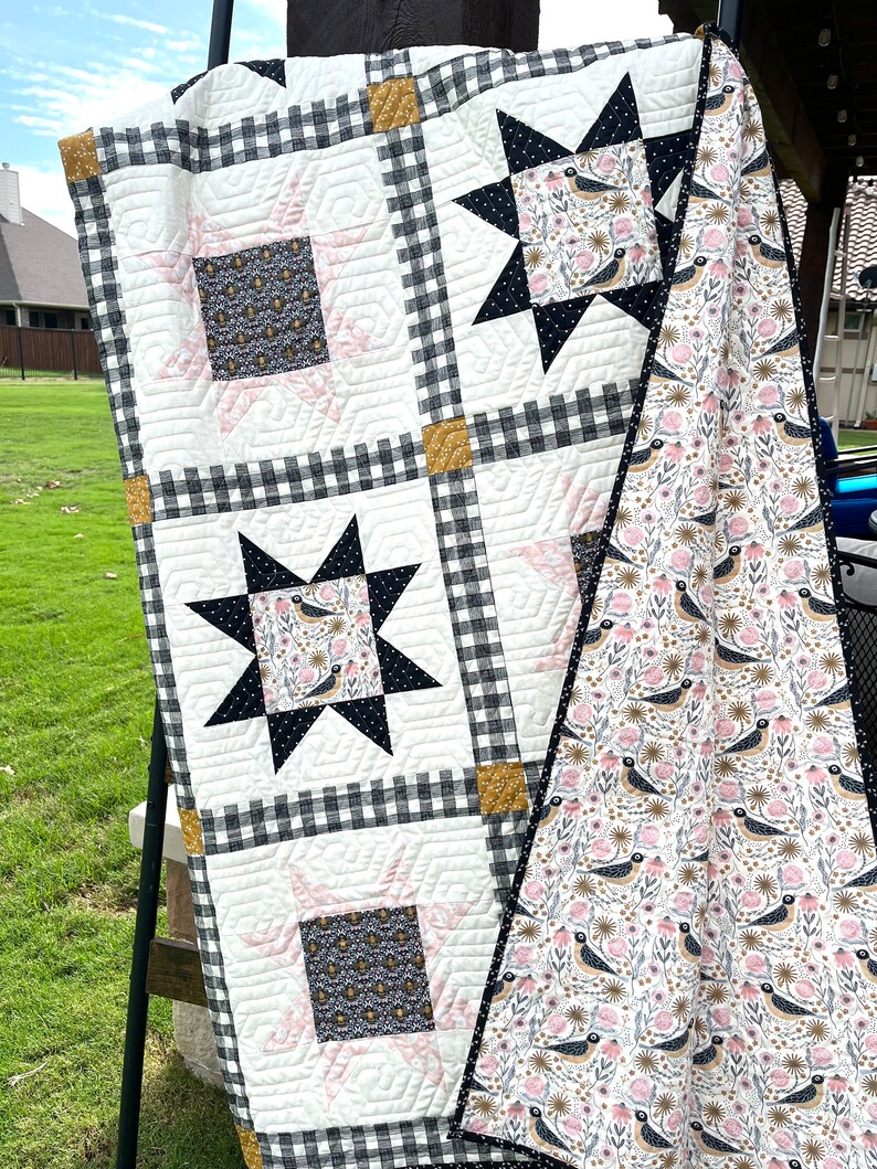 BIRDS & the BEES Moda Quilt Kit PASTRY Shop - Etsy