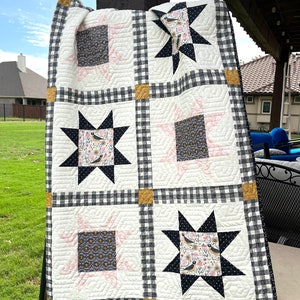 BIRDS & the BEES- Moda Quilt Kit PASTRY Shop - Etsy