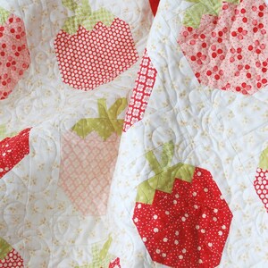 Quilt Kit STRAWBERRY SOCIAL the Pattern Basket Moda Prints - Etsy