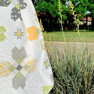 BUTTERCUP BLOOMS Corey Yoder Buttercup & Slate Pastry Shop Quilt Kit - Etsy