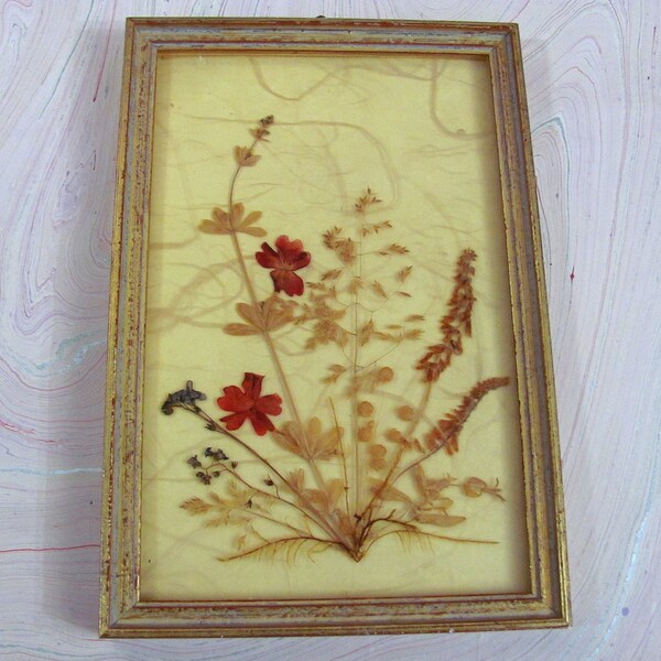 Herbarium Frame - Etsy