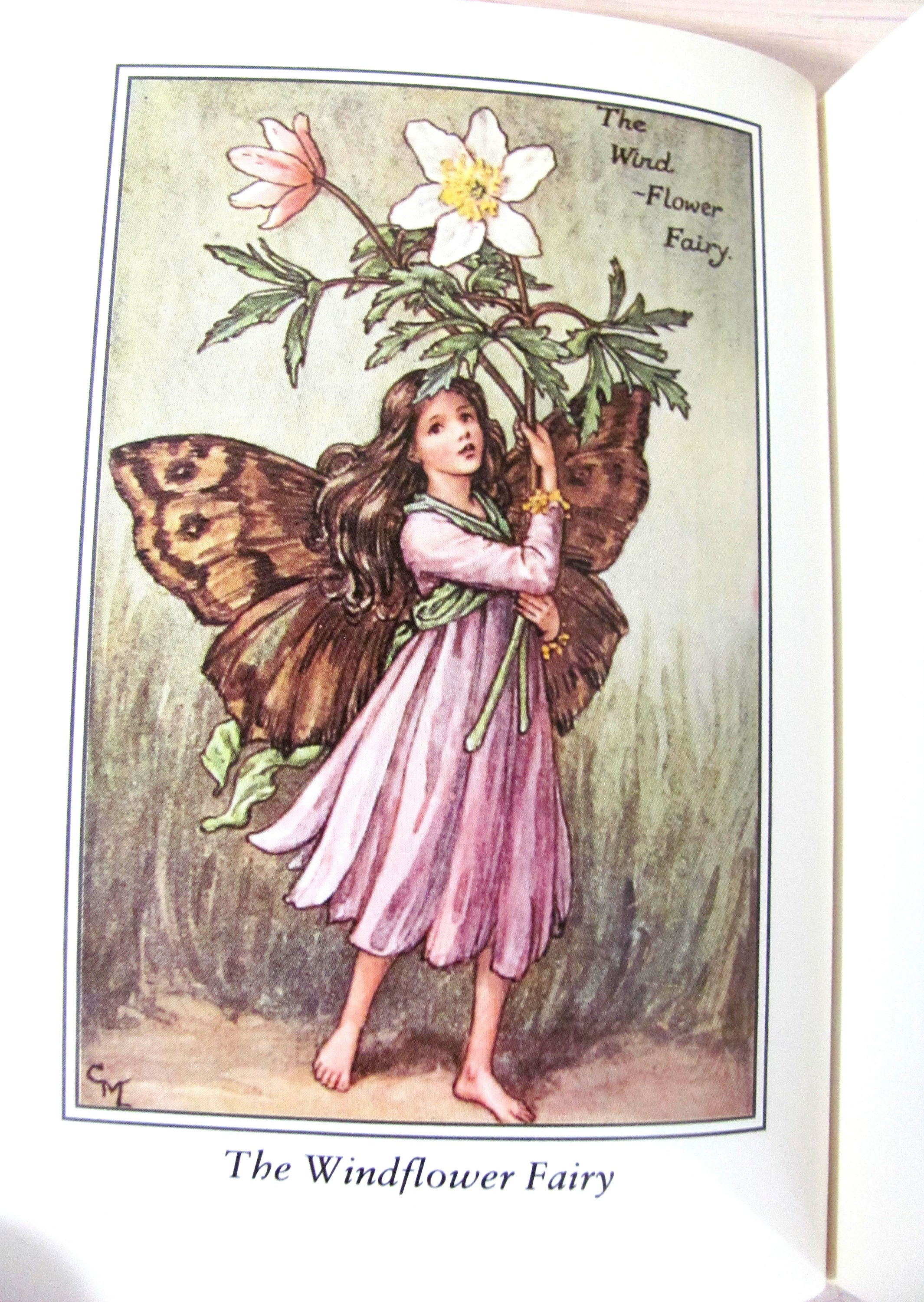 Flower Fairies of the Spring by Cicely Mary Barker Published in 1990 by ...