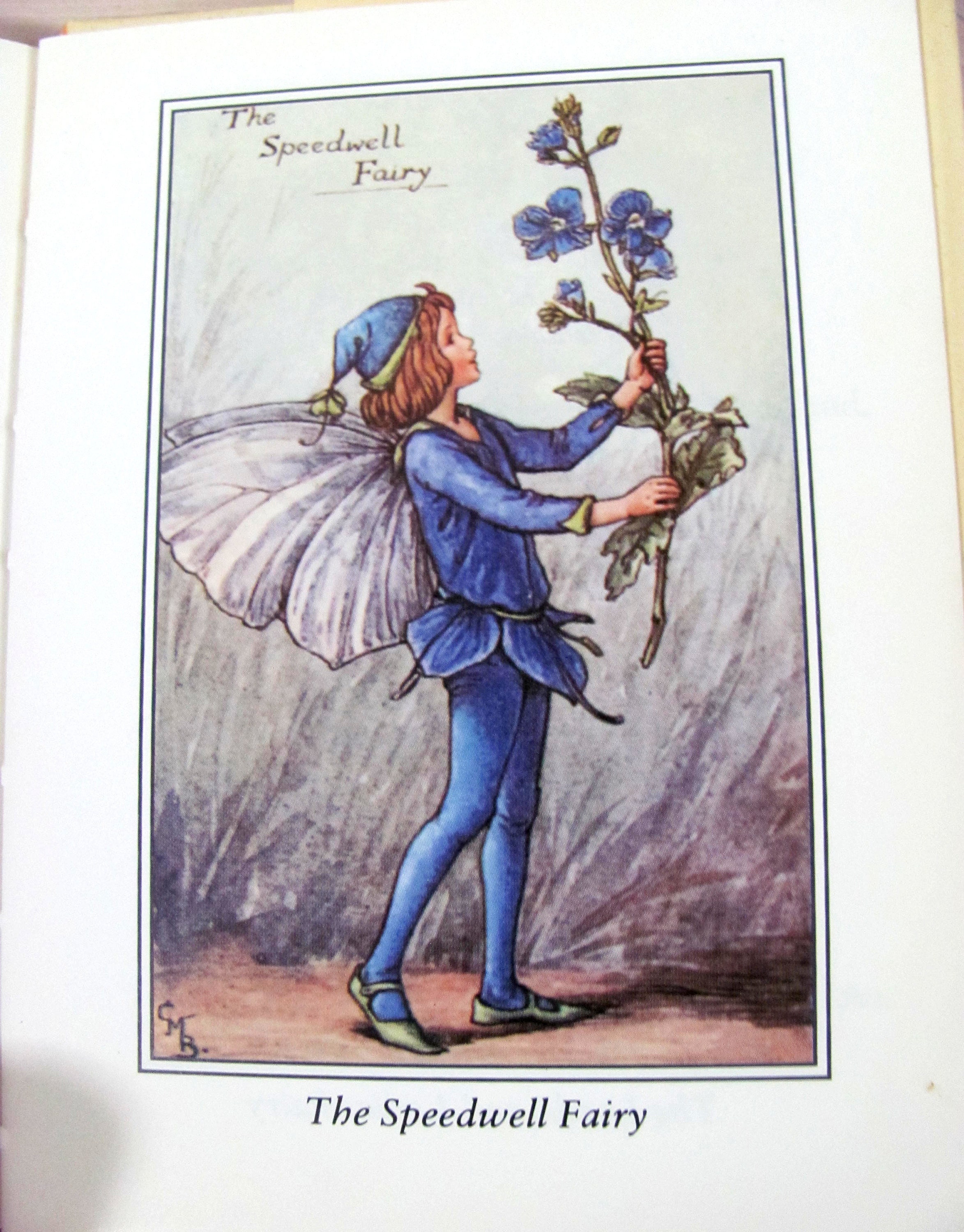 Flower Fairies of the Spring by Cicely Mary Barker Published in 1990 by ...