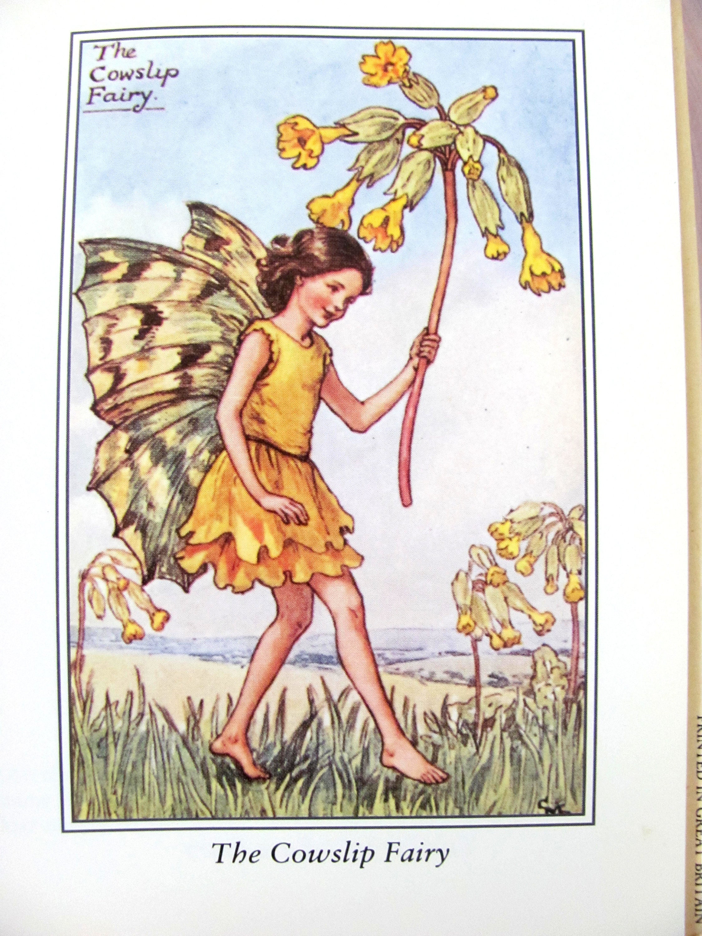 Flower Fairies of the Spring by Cicely Mary Barker Published in 1990 by ...