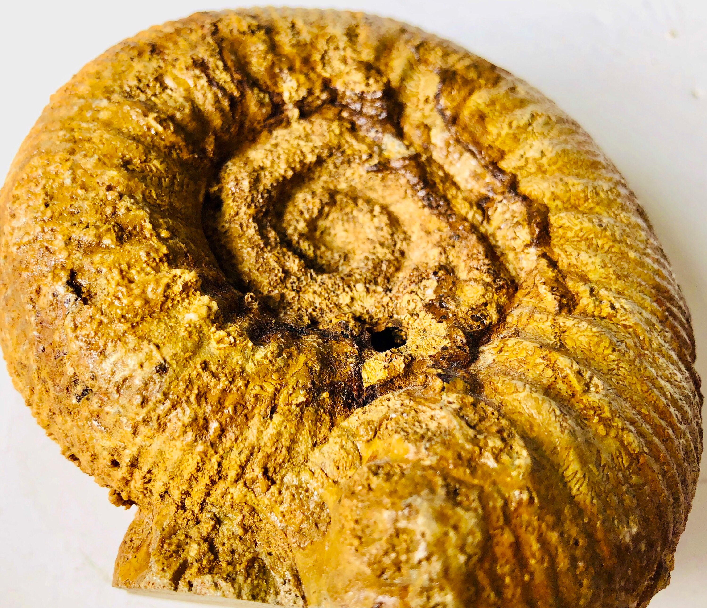 Raw Ammonite Fossil Golden Fossil Rare Fossil Display - Etsy Sweden