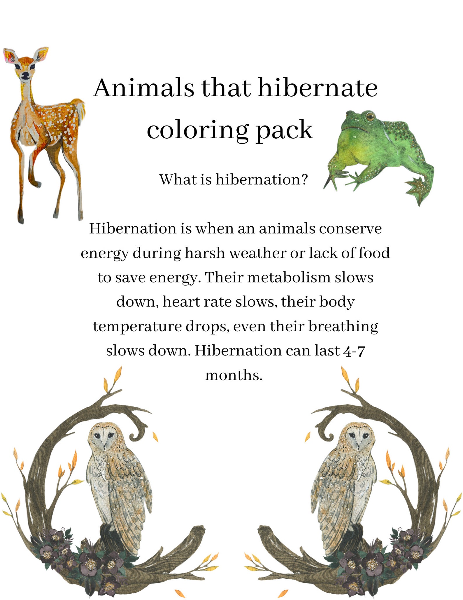 HIBERNATION COLORING PACK | Preschool Worksheets | Homeschool ...