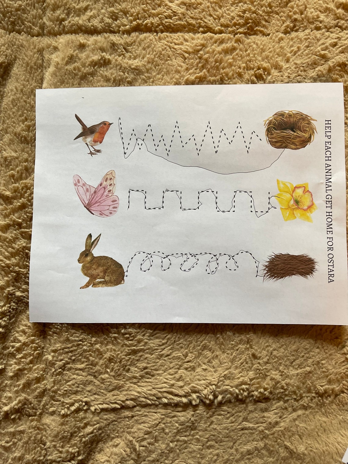 Preschool Ostara Worksheets | Learning Printables | Pagan Holidays ...
