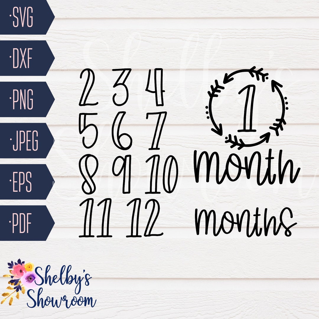Monthly Milestone SVG Baby Milestone Cut File Milestone - Etsy
