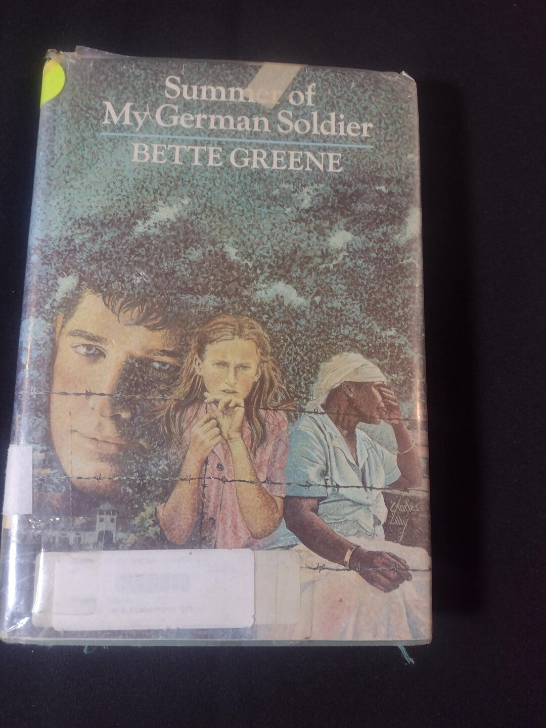 Book: "summer of My German Soldier" HC, DC, 1st Ed, Signed 1973 Bette ...