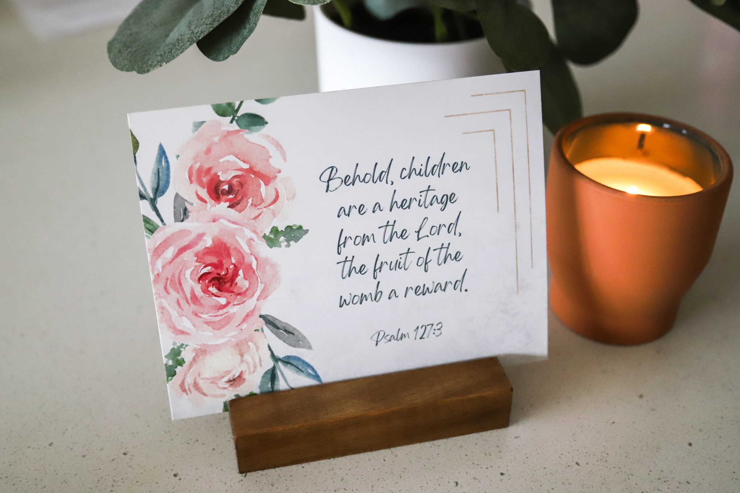Rooted in Scripture | Scripture Cards — sisterlandhomedecor